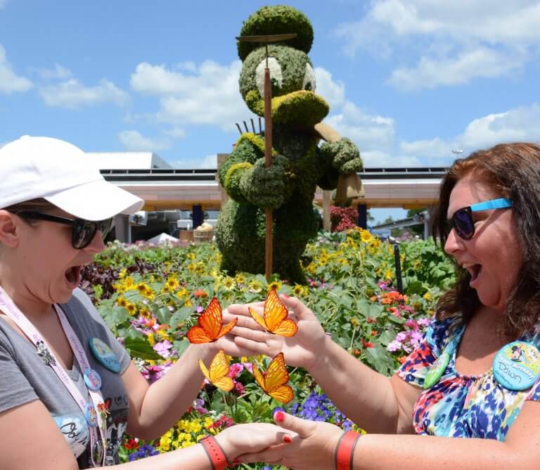 The 411 on Disney's Magic Shots | Vivacious Views