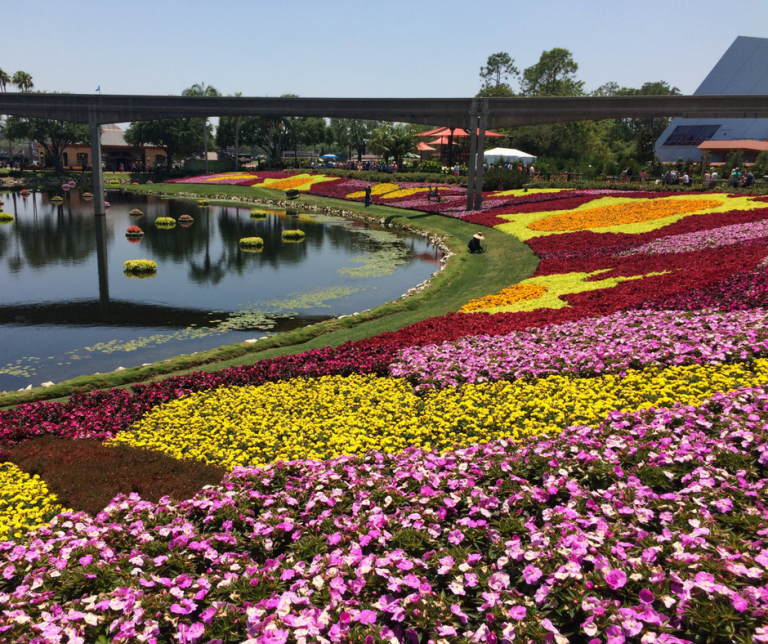 Spring at Disney World Bucket List | Vivacious Views